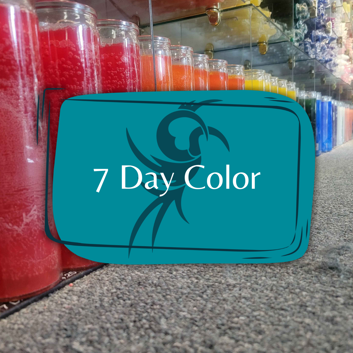 7 Day Color – Phoenix & Dragon Bookstore