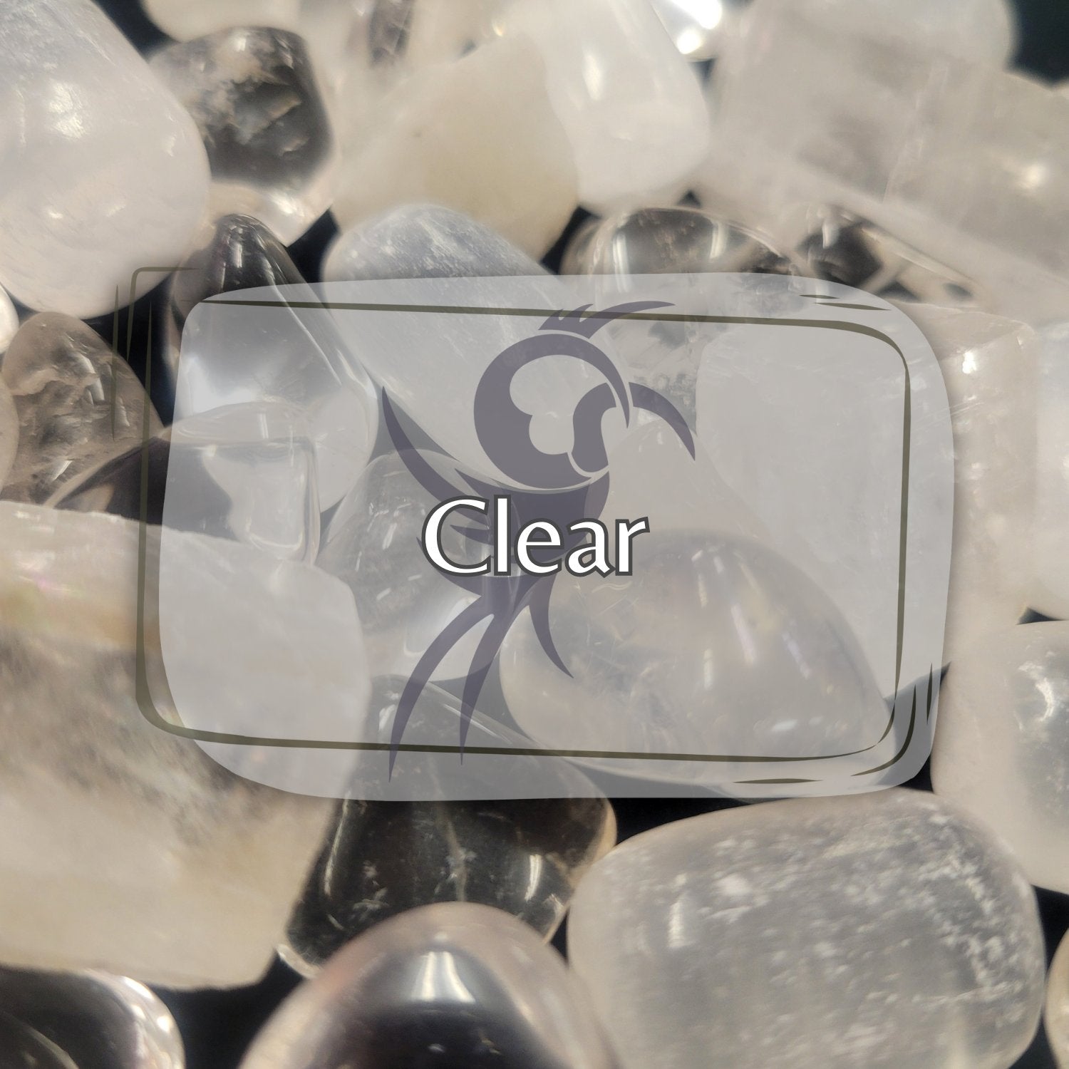 Clear – Phoenix & Dragon Bookstore